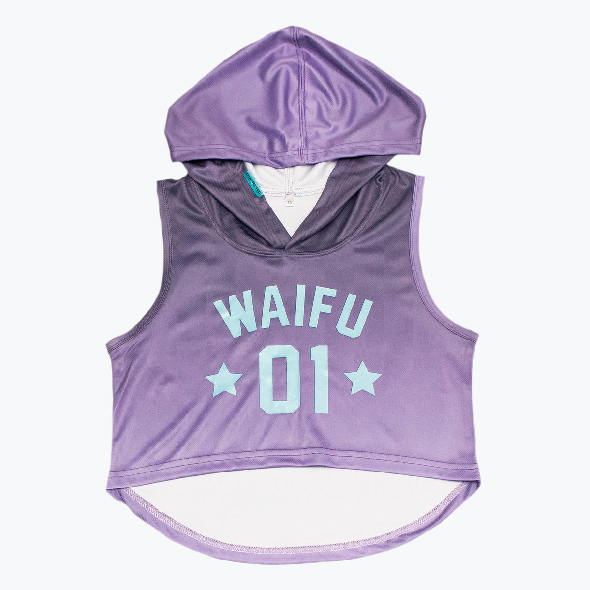 Waifu Crop Hoodie // Ultra Instinct – Creators Guild