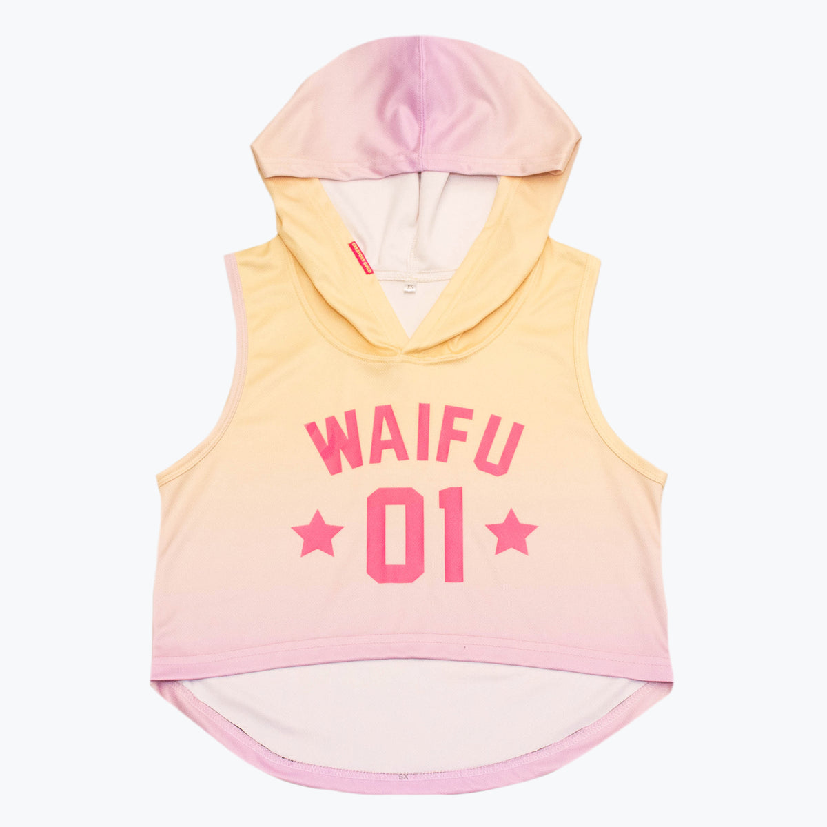 Waifu Crop Hoodie // Mahou Mango – Creators Guild
